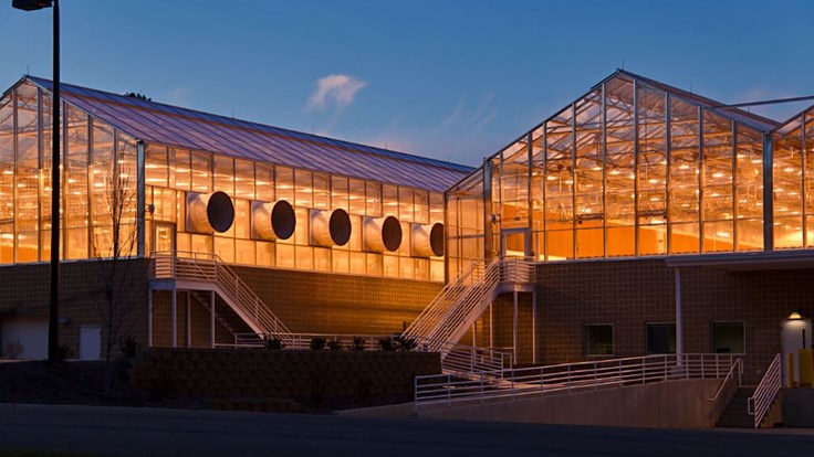 Q&A: Supplemental lighting – CropKing