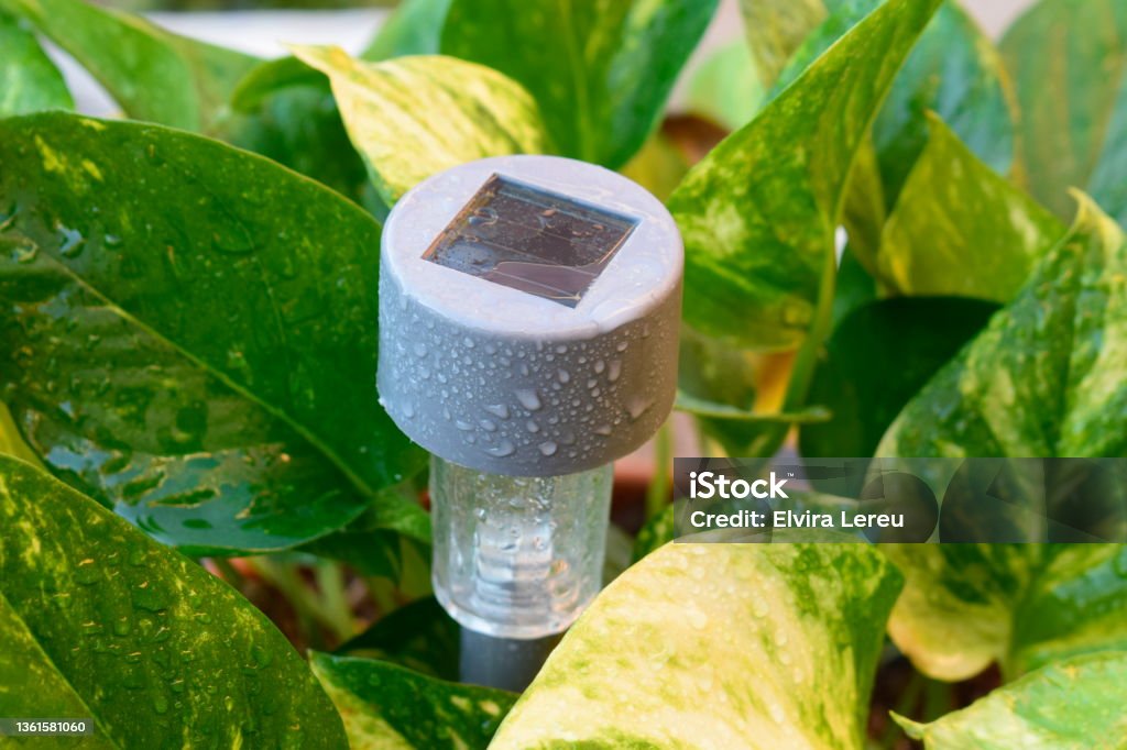 Investigating impacts of Electrical Conductivity in Nutrient Solutions – CropKing