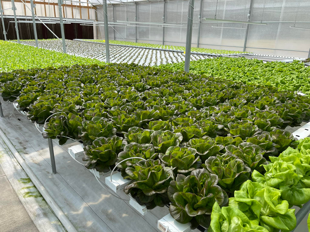 Request a quote – CropKing