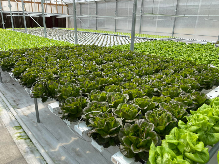 Request a quote – CropKing