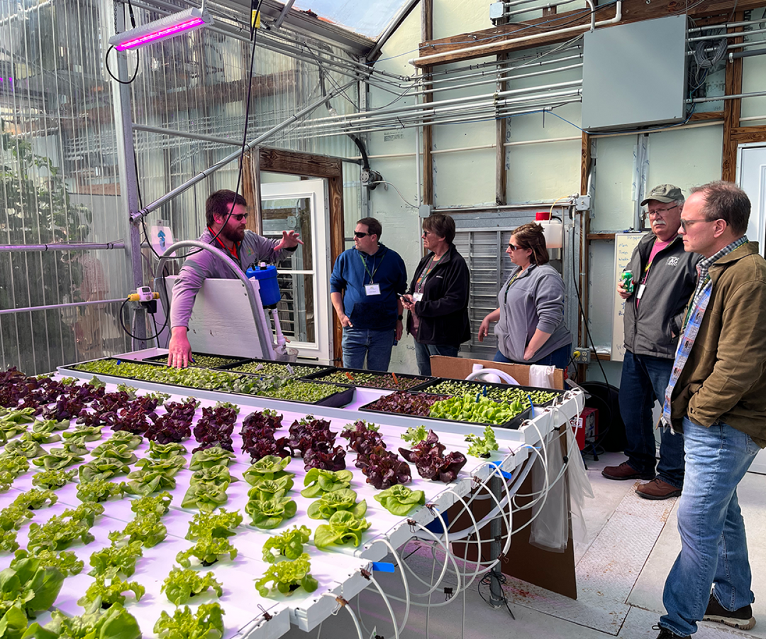 FodderKing 12-24 – CropKing