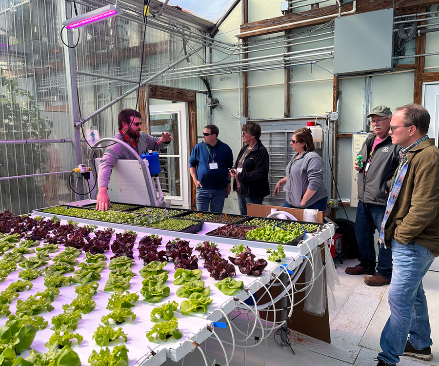 24 Bato Bucket – CropKing