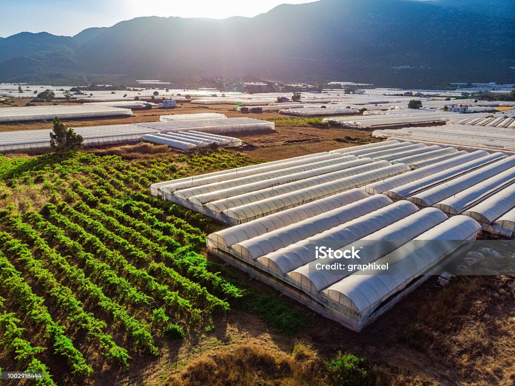 Bato Bucket Systems – CropKing