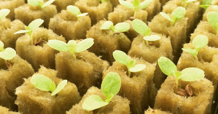 Flex Farm Hydroponic System – CropKing