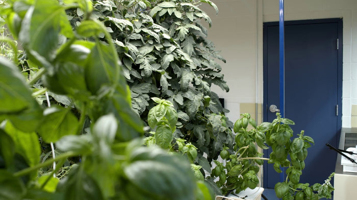 Schools | Cropking – CropKing